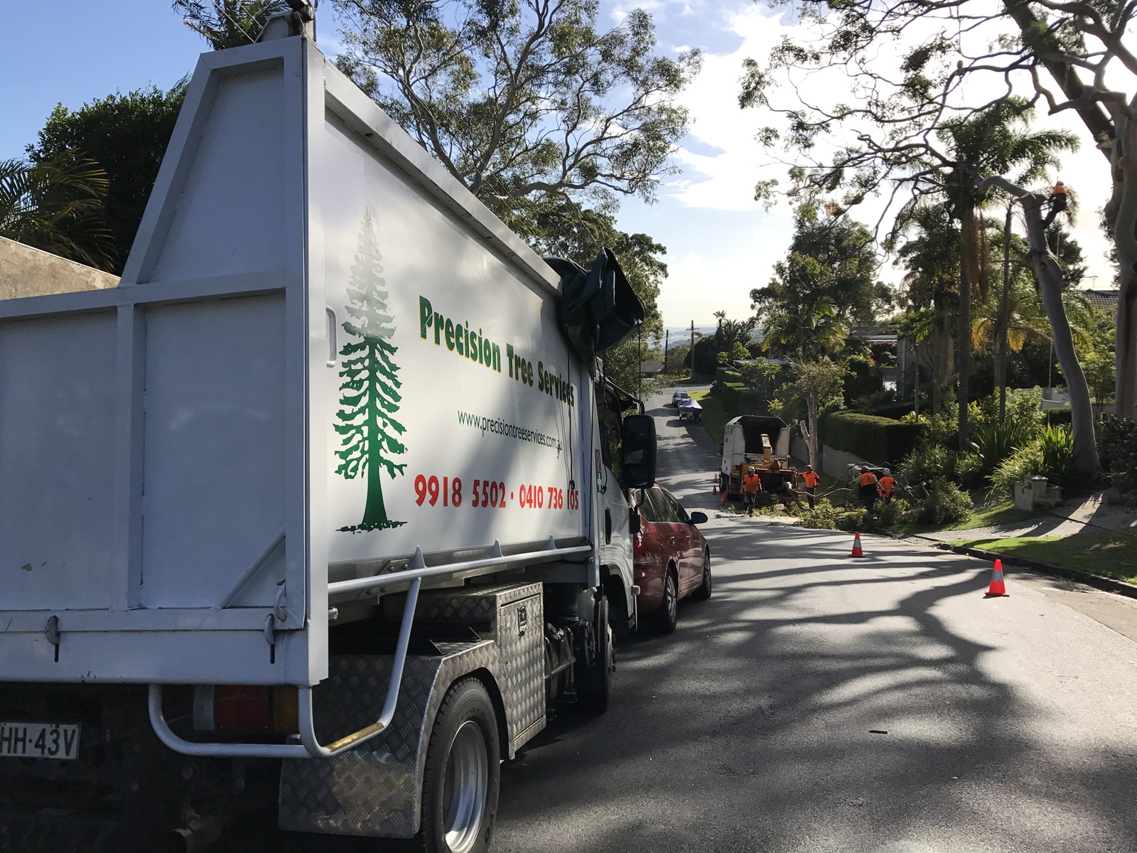 Precision Tree Services Northern Beaches. Arborists & Tree Loppers.
